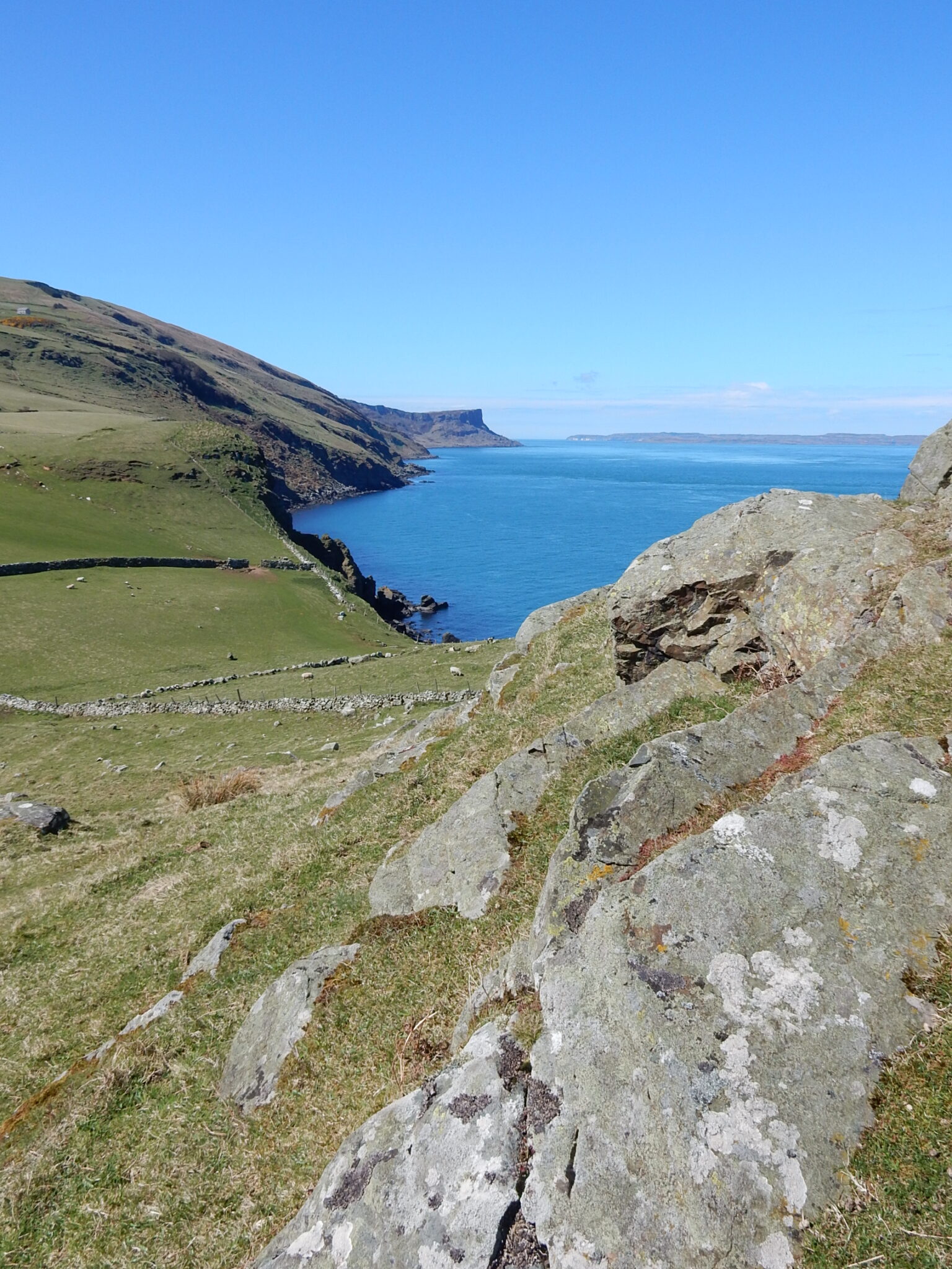 Home - Belfast Geologist' Society